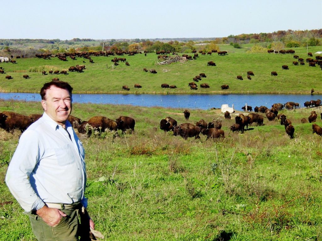 Bison Meat And Live Bison Sales